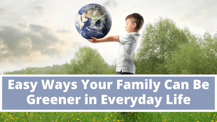 Easy Ways Your Family Can Be Greener in Everyday Life - LavandaMichelle