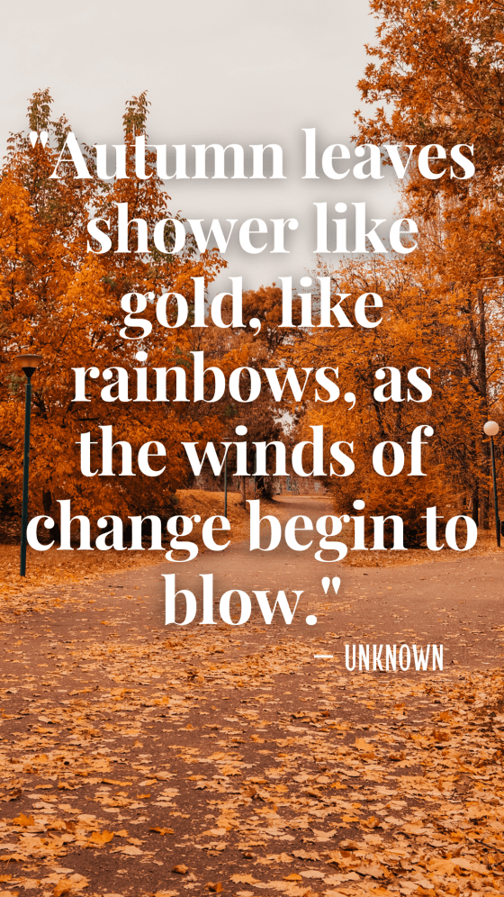 25 Quotes to Make You Fall in Love With Autumn - LavandaMichelle