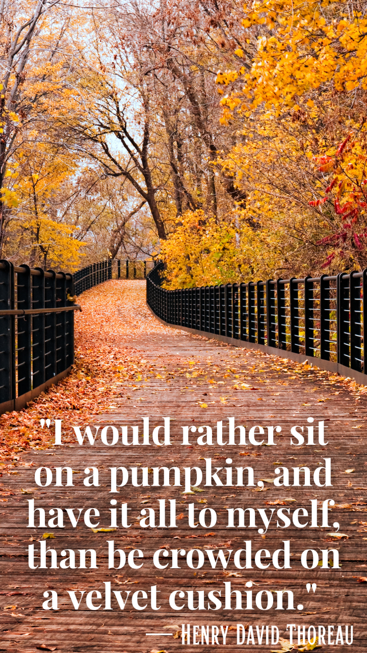 25 Quotes to Make You Fall in Love With Autumn - LavandaMichelle