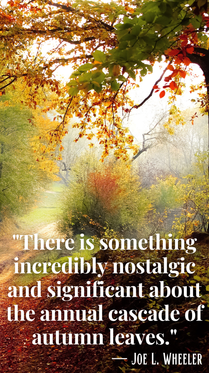 25 Quotes to Make You Fall in Love With Autumn - LavandaMichelle