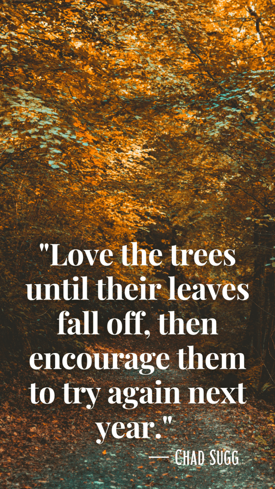 25 Quotes to Make You Fall in Love With Autumn - LavandaMichelle