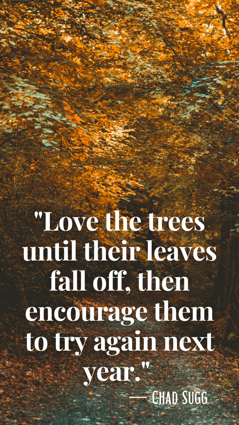 25 Quotes to Make You Fall in Love With Autumn - LavandaMichelle