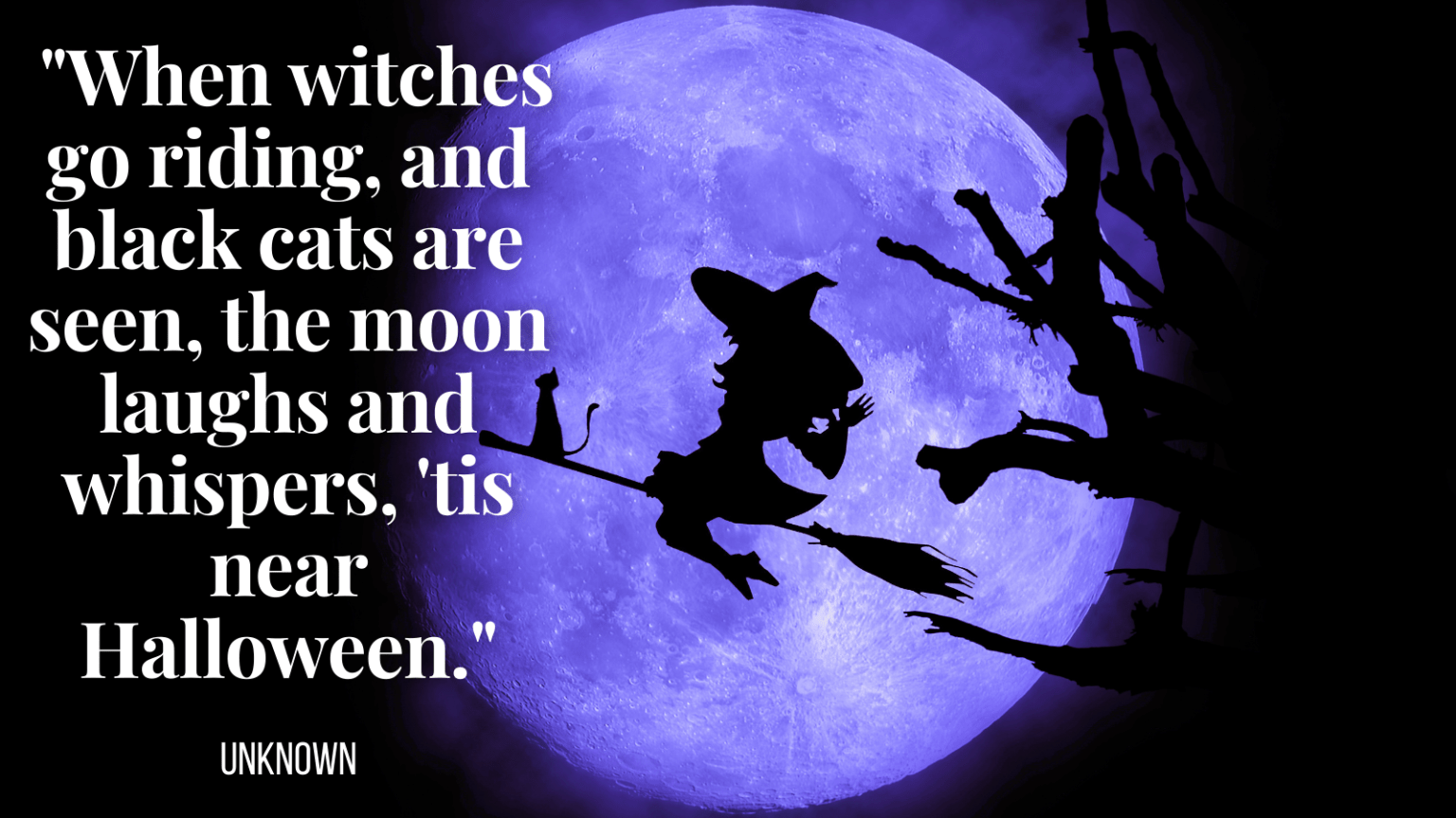 31 Spooky Halloween Quotes - LavandaMichelle