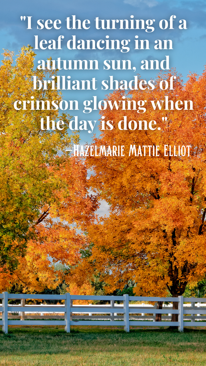 25 Quotes to Make You Fall in Love With Autumn - LavandaMichelle