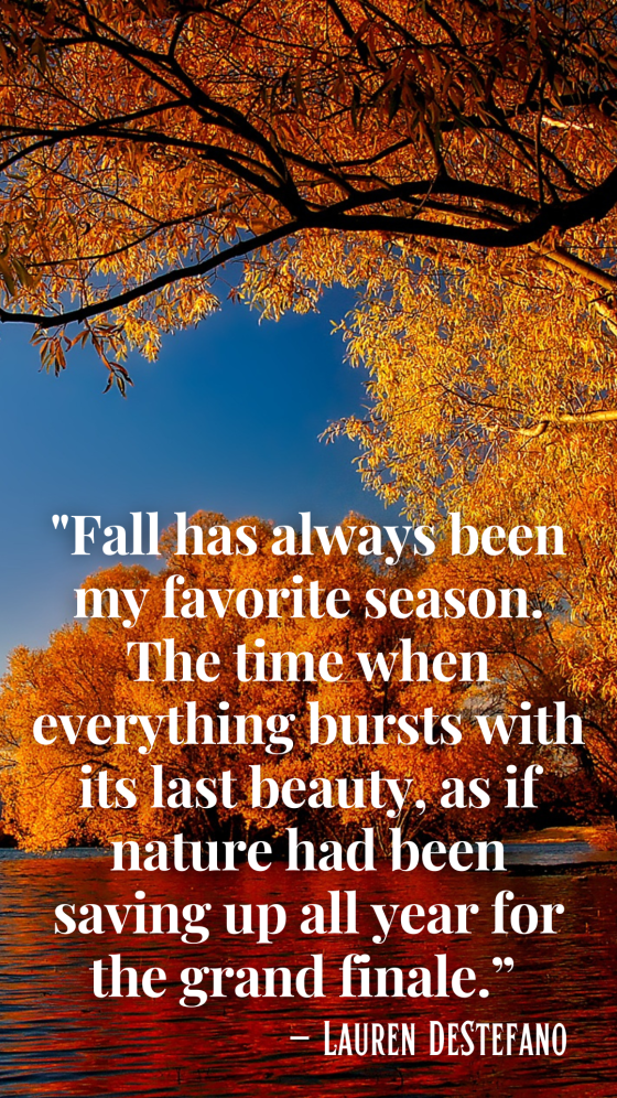 25 Quotes to Make You Fall in Love With Autumn - LavandaMichelle