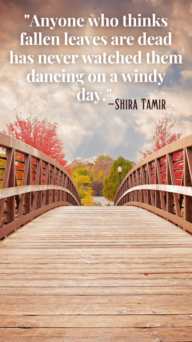 25 Quotes to Make You Fall in Love With Autumn - LavandaMichelle