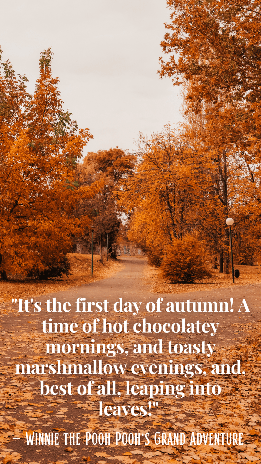 25 Quotes to Make You Fall in Love With Autumn - LavandaMichelle