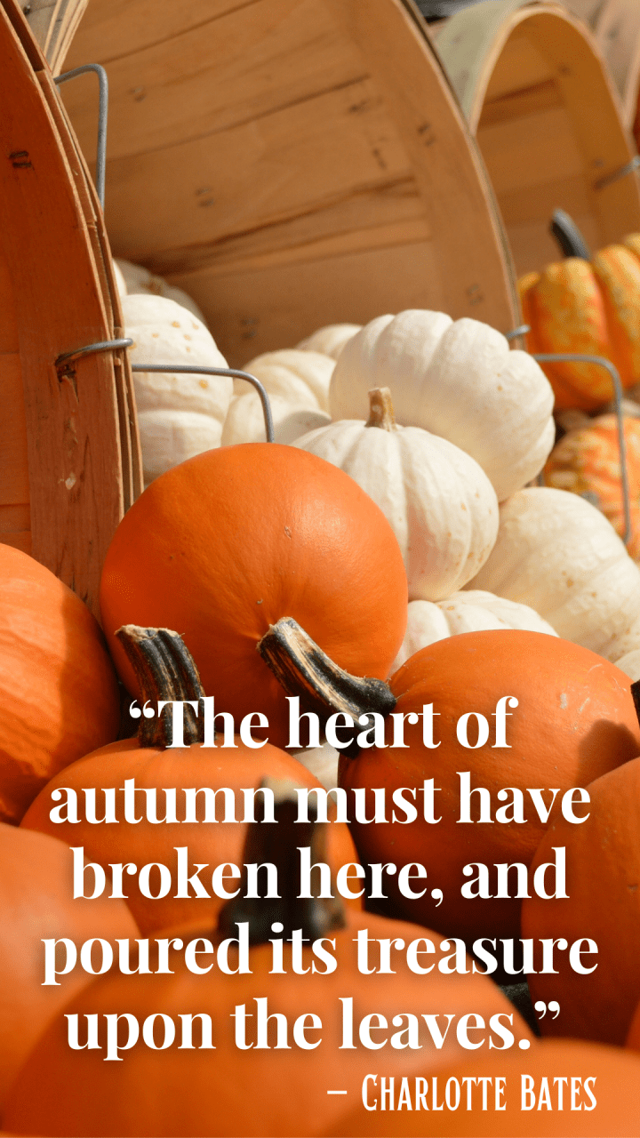 25 Quotes to Make You Fall in Love With Autumn - LavandaMichelle