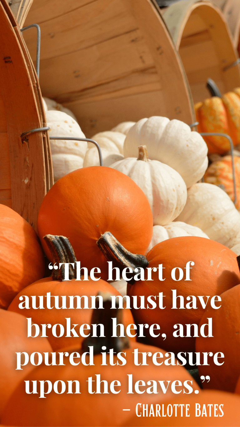 25 Quotes to Make You Fall in Love With Autumn - LavandaMichelle
