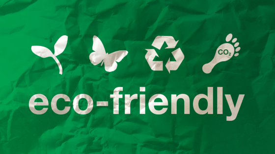 Spring Sustainability: 5 Eco-Friendly Tips for Everyday Life ...