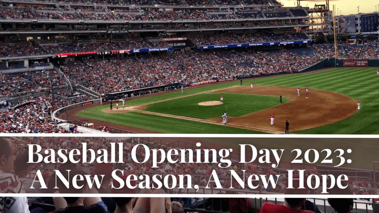 Baseball Opening Day 2023: A New Season, A New Hope - LavandaMichelle