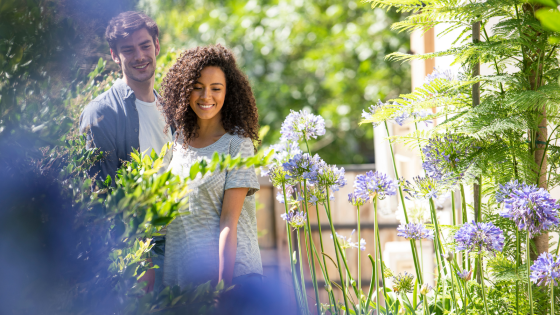 Spring Romance: 10 Romantic Things to Do During the Season of Love ...