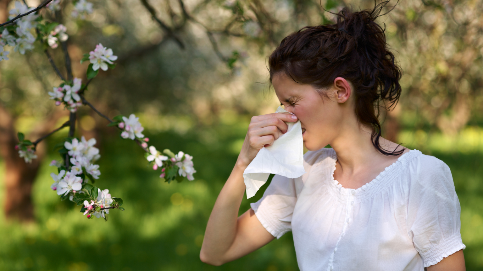 Surviving Spring: Tips for Managing Allergies During the Season of ...