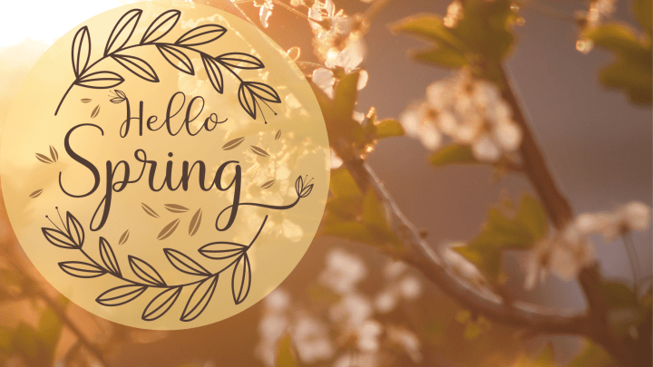 90 Lighthearted and Inspiring Spring Quotes to Brighten Your Day ...