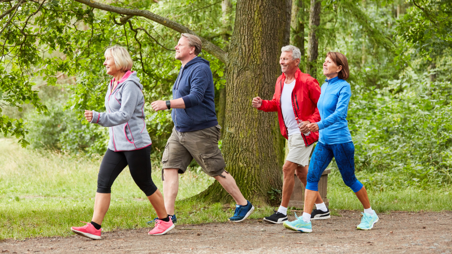 Step into Fitness: The Power of Walking for Weight Loss and Wellness ...