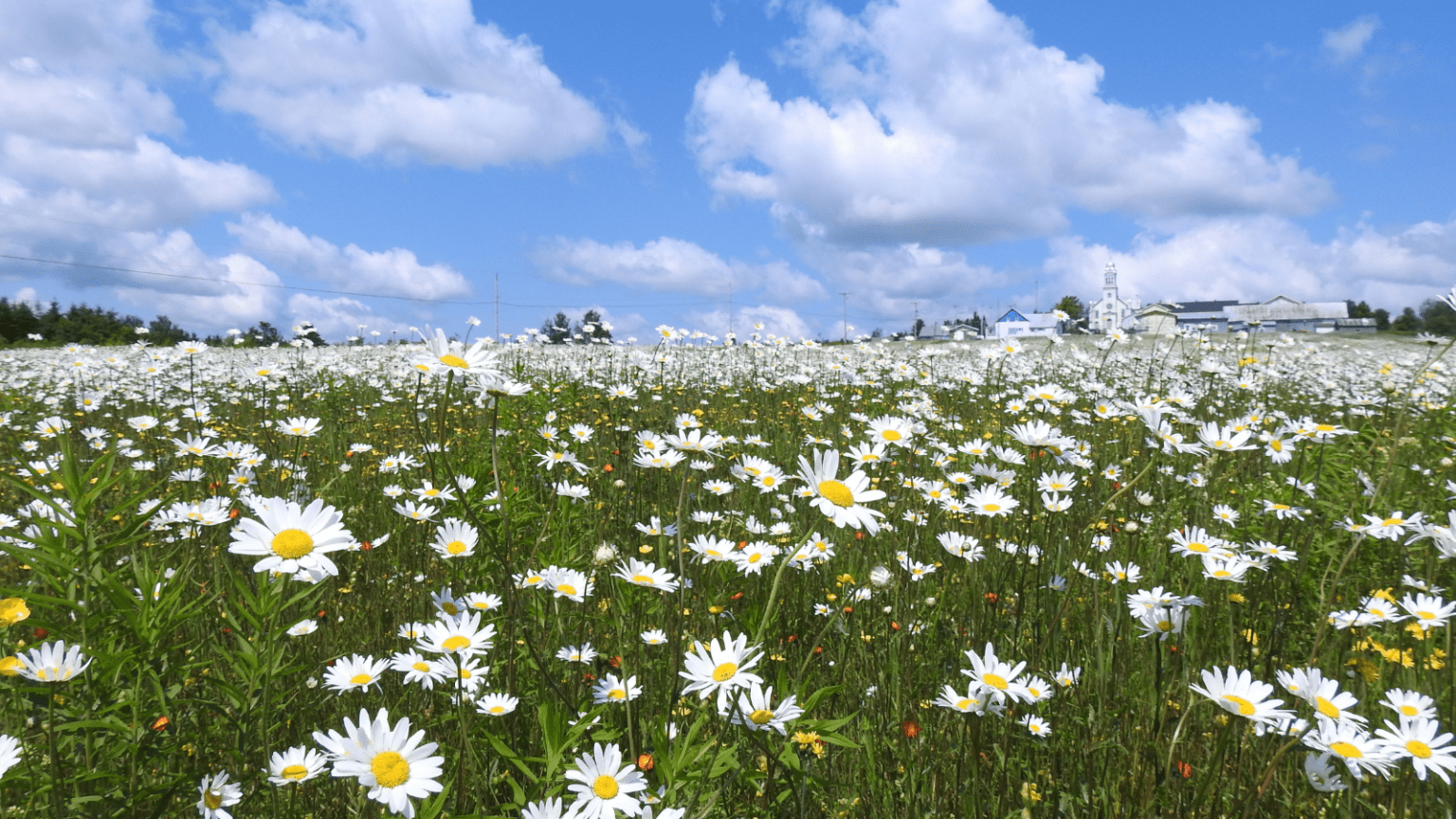 Embrace the Mid-Year Reset: July Affirmations for Renewal and Growth ...
