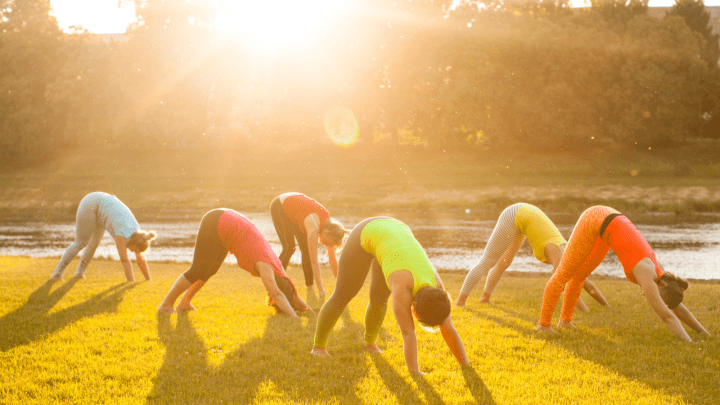 Summer Celebration: Ideas for Making the Most of the Sunny Season ...