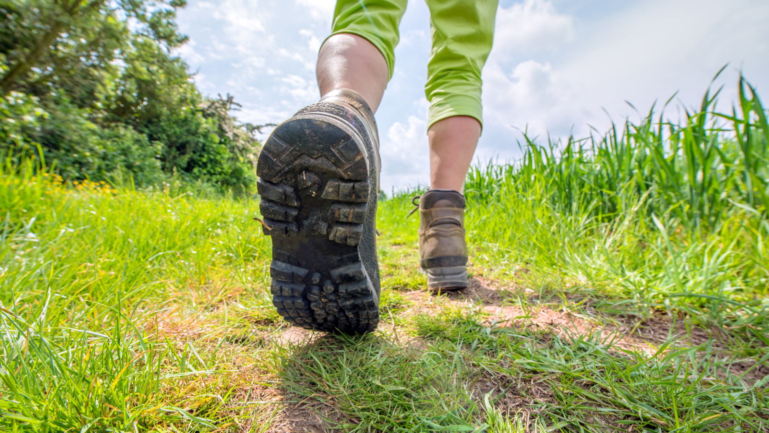 Step into Fitness: The Power of Walking for Weight Loss and Wellness ...