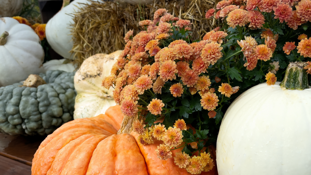 Fall Gardening Tips and Tricks: Prepare Your Garden for the Season ...