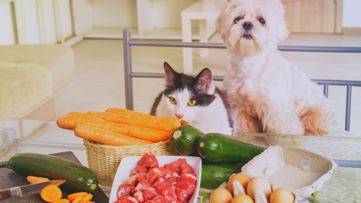 Celebrating National Cook For Your Pets Day: Wholesome Recipes and Tips ...