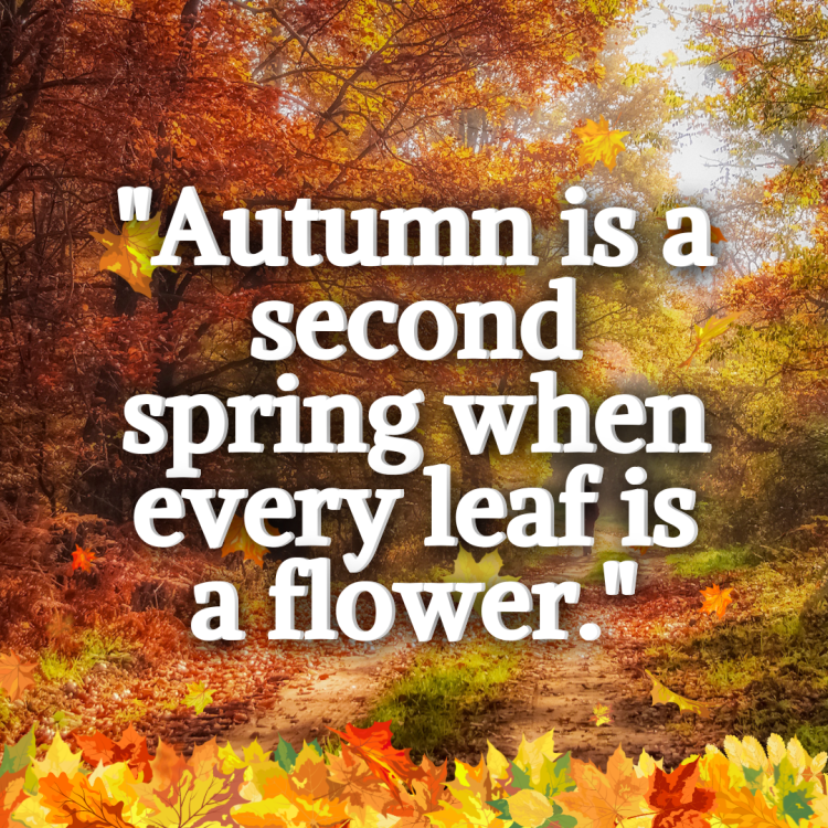 30 Inspiring Quotes to Embrace the Beauty of Fall - LavandaMichelle