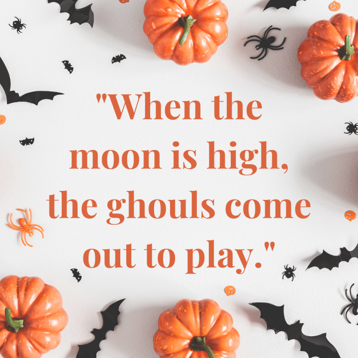 100 Halloween Quotes to Get You in the Spirit - LavandaMichelle