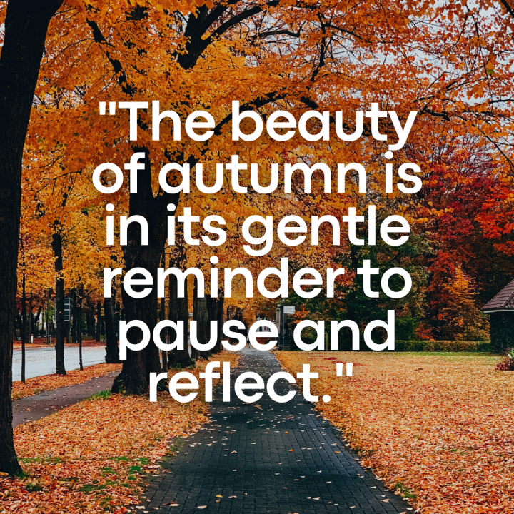 30 Inspiring Quotes to Embrace the Beauty of Fall - LavandaMichelle