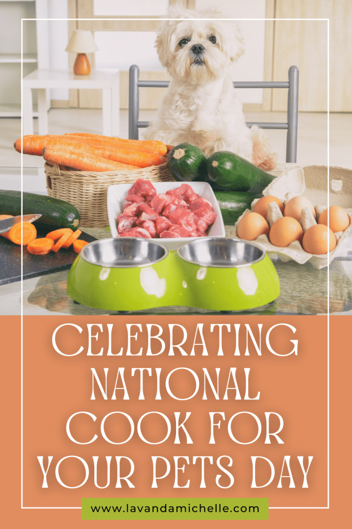 Celebrating National Cook For Your Pets Day: Wholesome Recipes and Tips ...