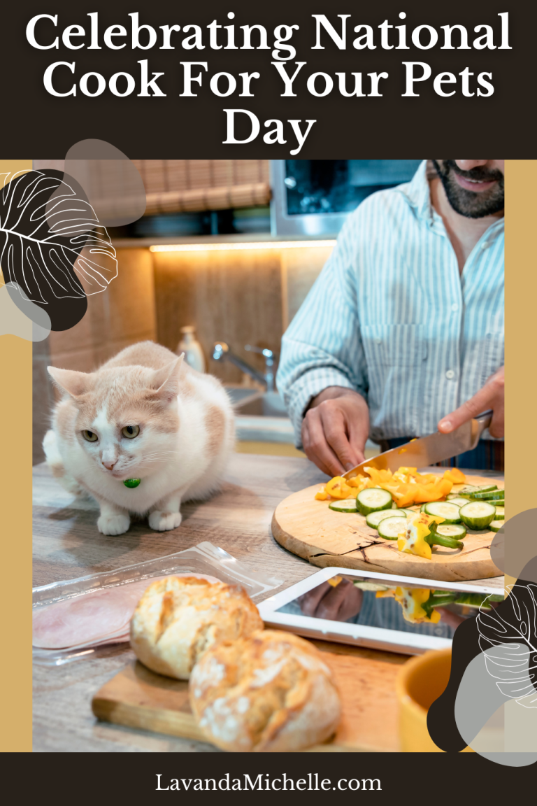 Celebrating National Cook For Your Pets Day: Wholesome Recipes and Tips ...