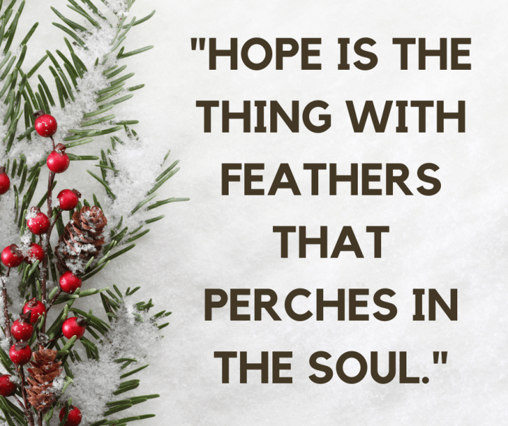 Heartfelt Christmas Quotes to Embrace the Joy of the Season ...