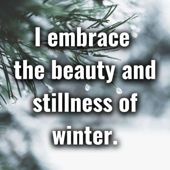 40 Winter Affirmations for Warmth, Growth, and Renewal - LavandaMichelle